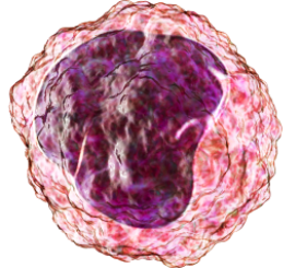 Pathophysiology of Psoriasis | Engaging Psoriatic Disease